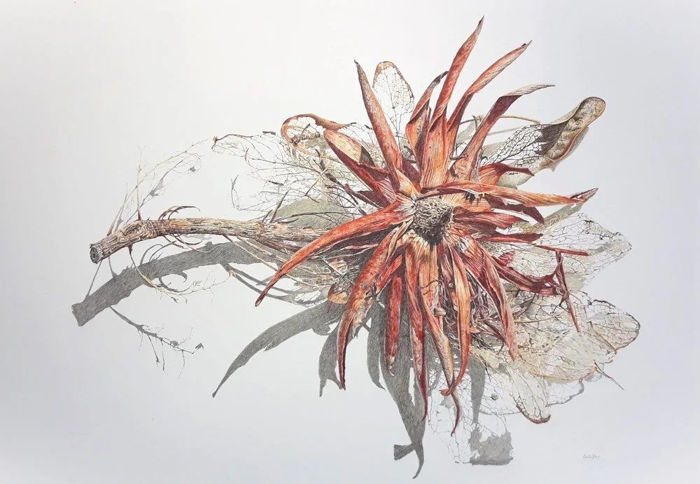 MURRAY BRIDGE ROTARY ART SHOW 2025 — Murray Bridge Regional Gallery