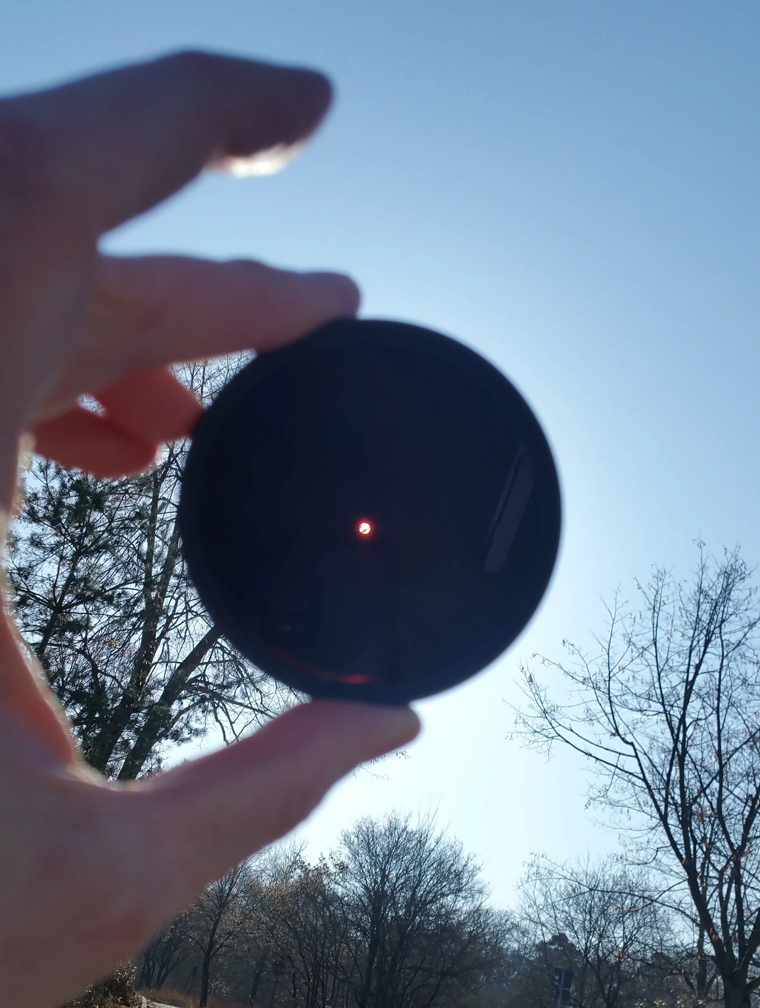 Week 18: Rollei Infrared film — Kashphoto