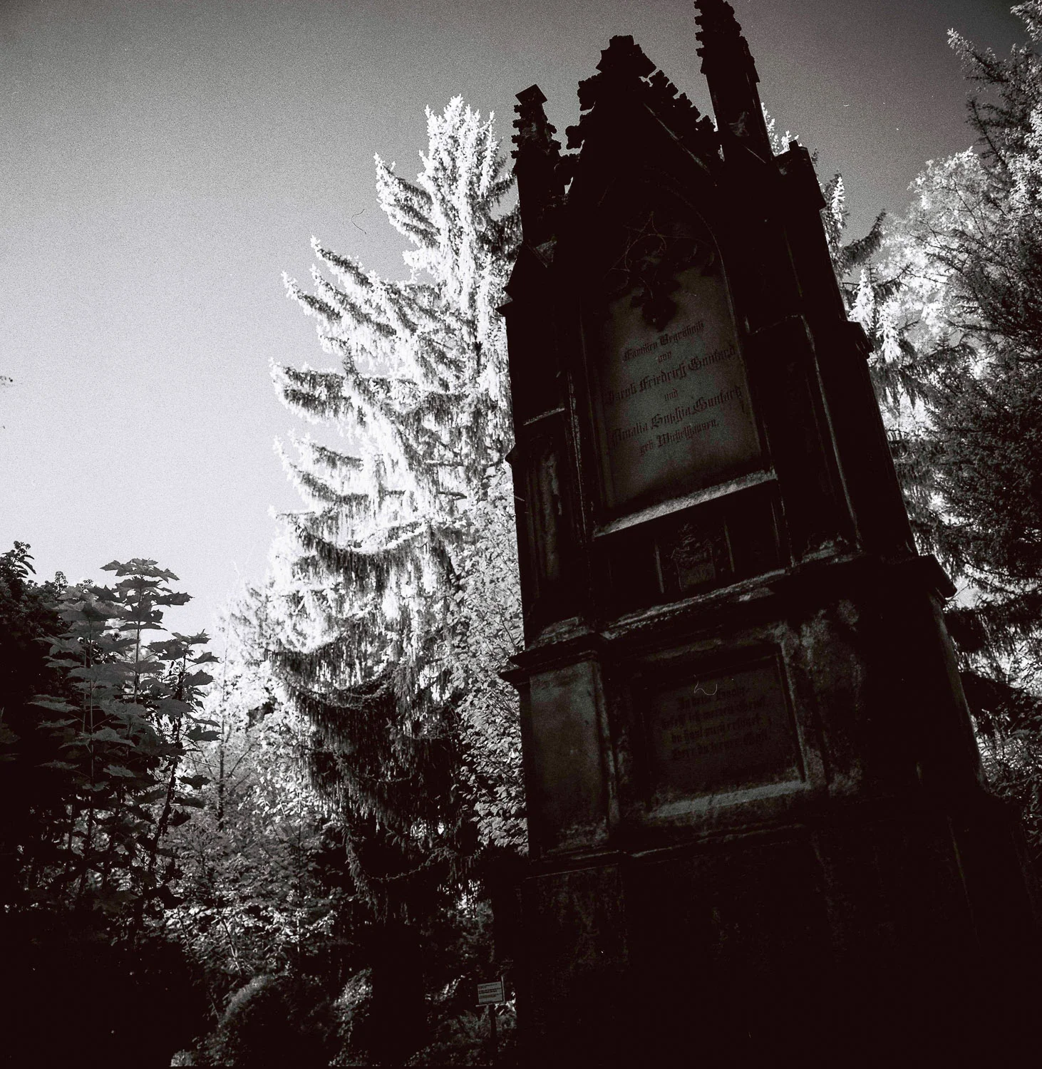 The world through infrared film — Kashphoto