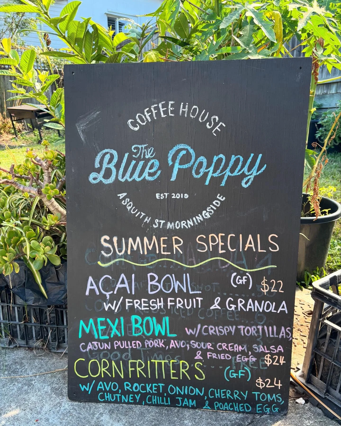 The Blue Poppy