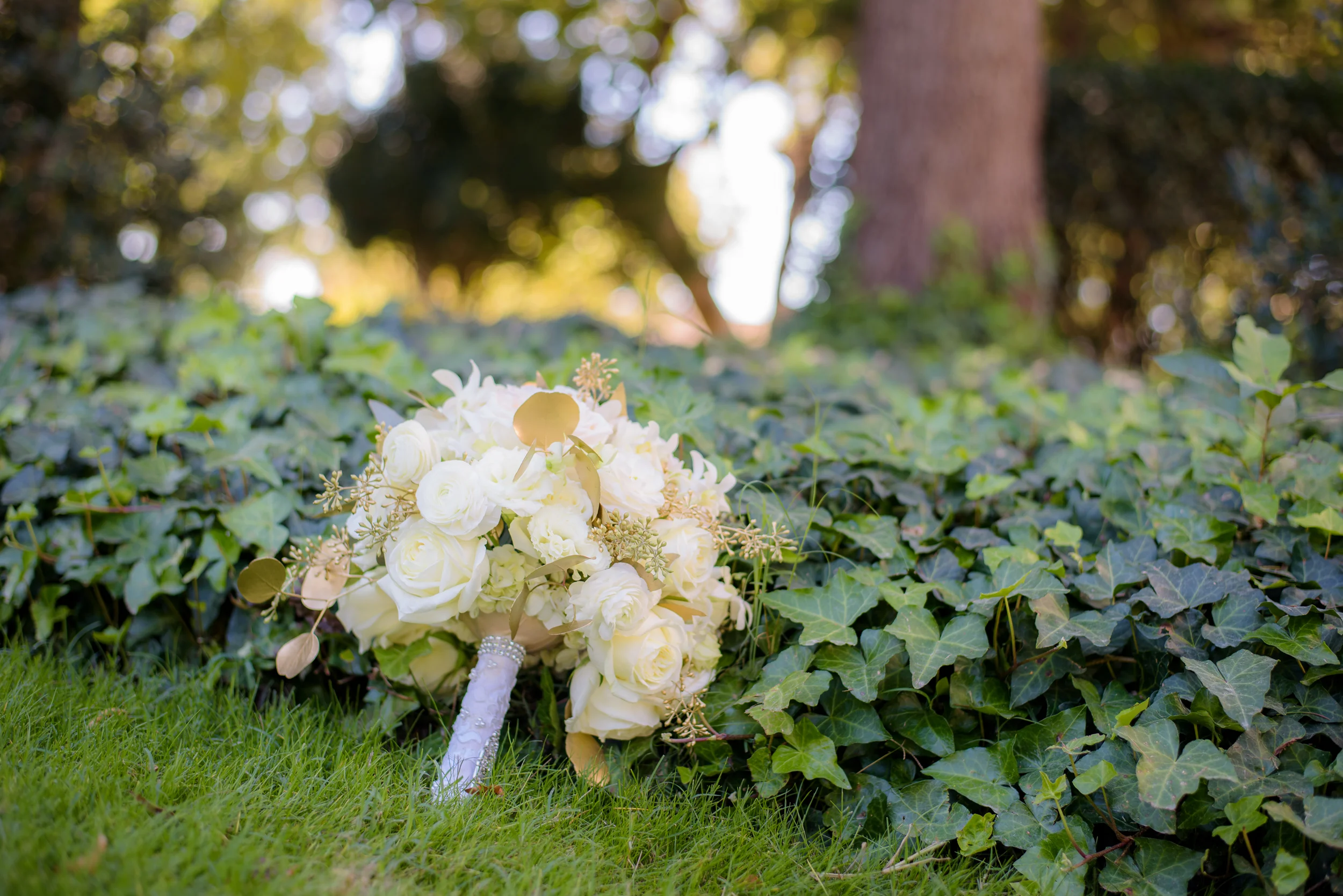 Portfolio — J.L.Roberts Photography
