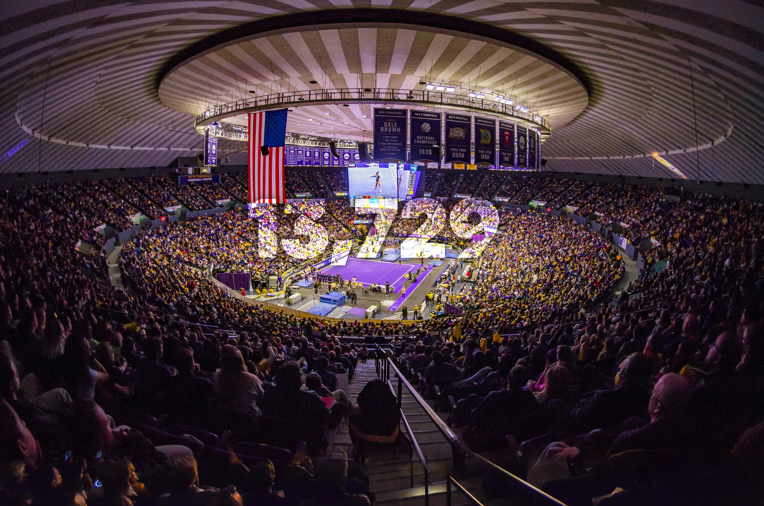 LSU Gymnastics