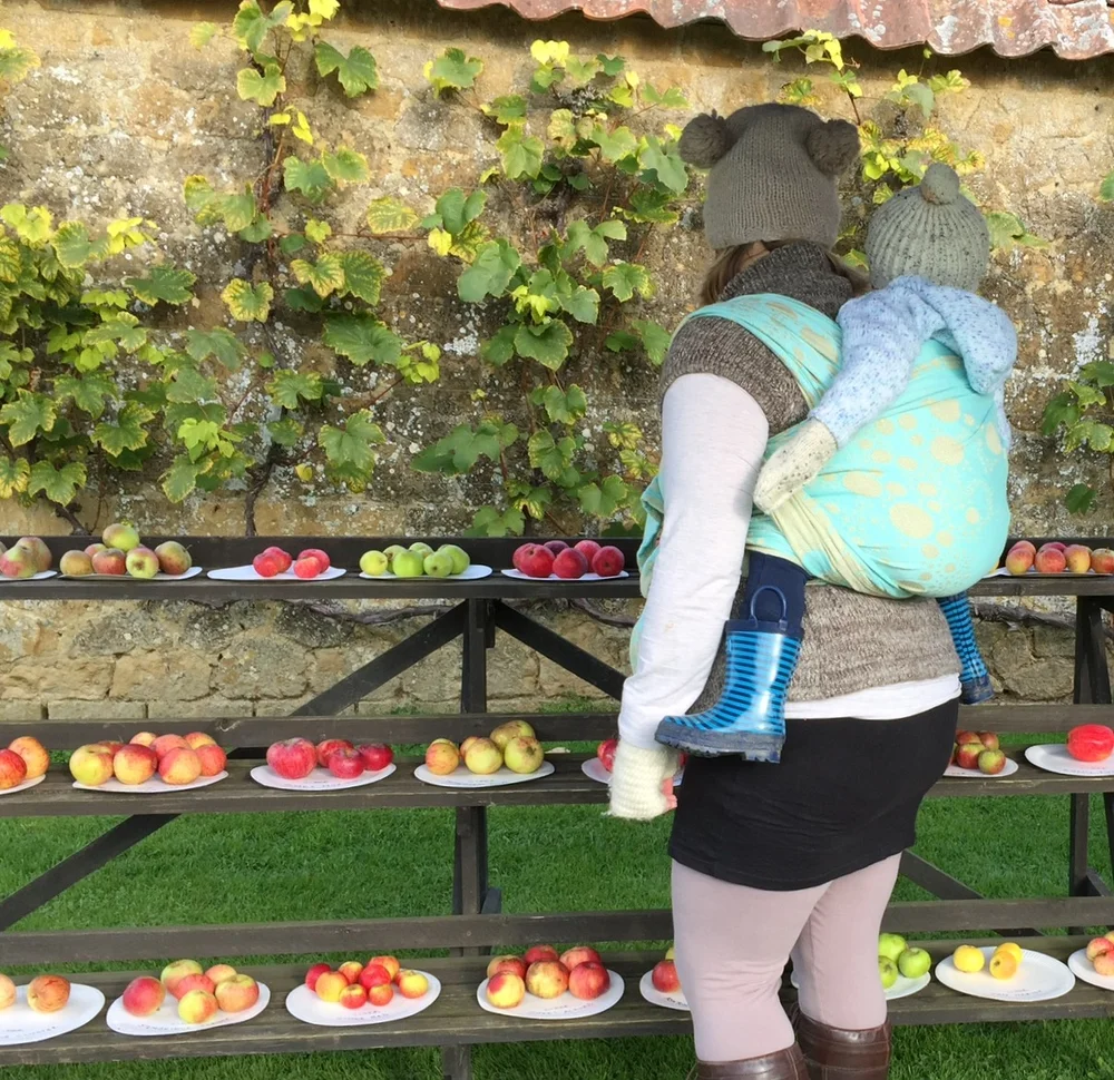 Firespiral Pyrula Aqua Vortex — The Wrapping Years