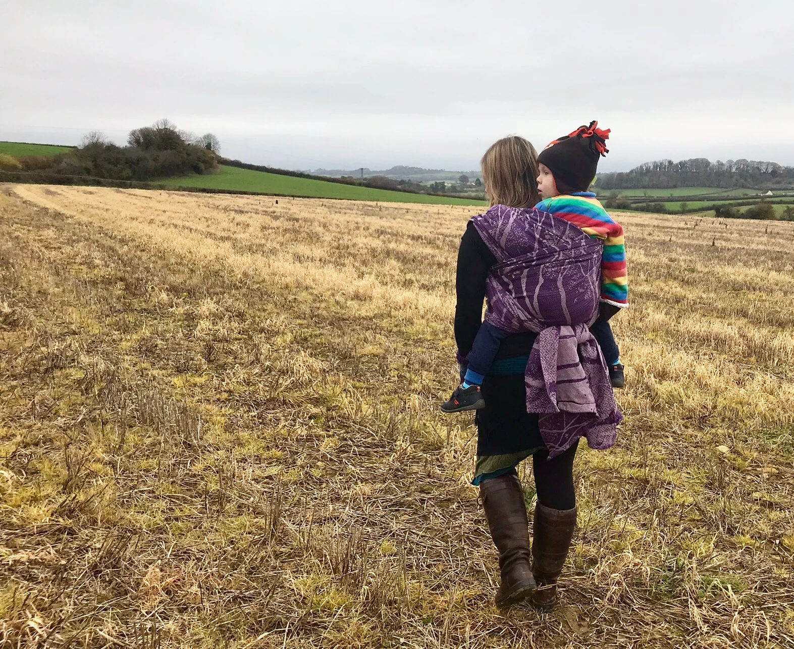 Firespiral Calluna Callisto Birch Trees — The Wrapping Years