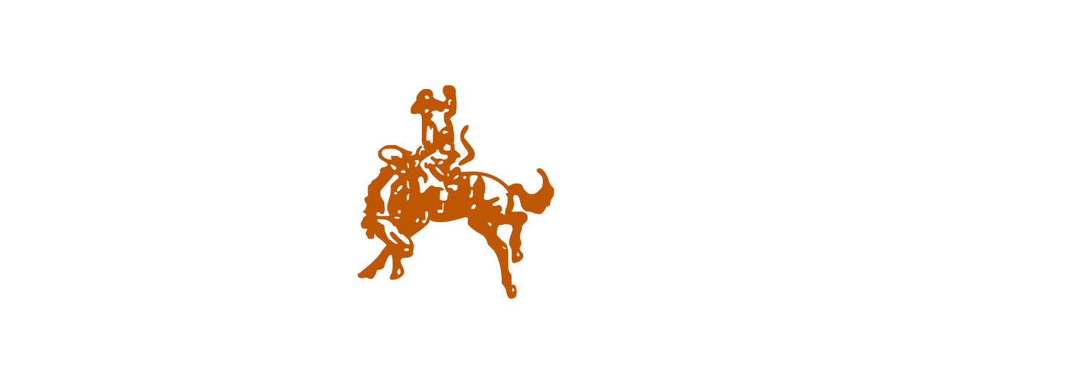 Smokey The Cannon — Texas Cowboys