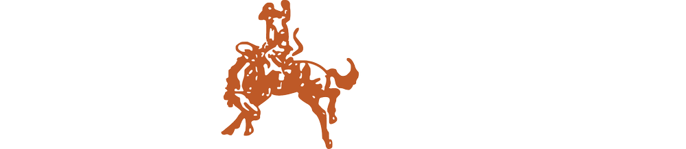 Smokey The Cannon — Texas Cowboys