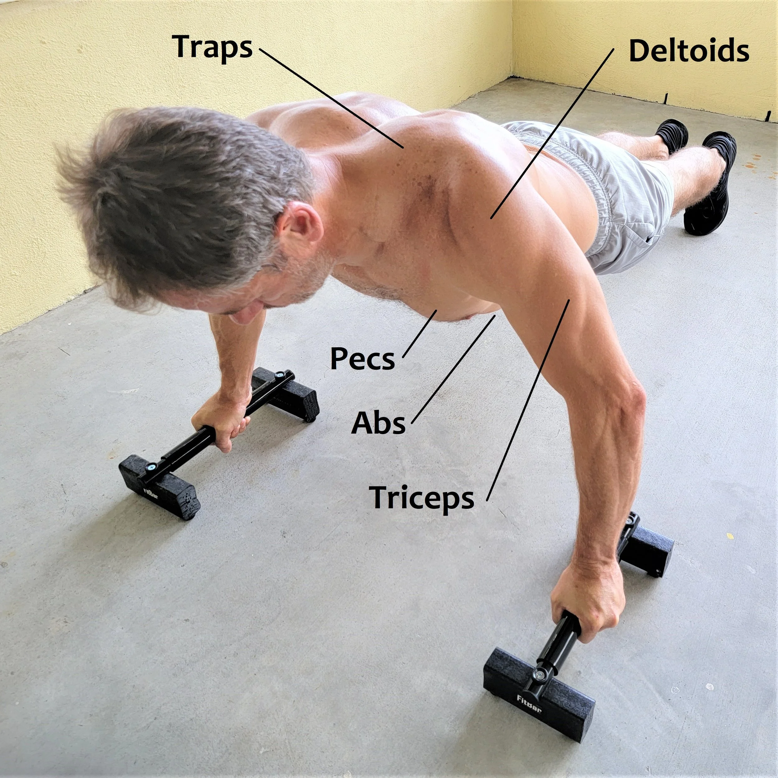 Push Up Muscles Worked Push Up Muscles Worked