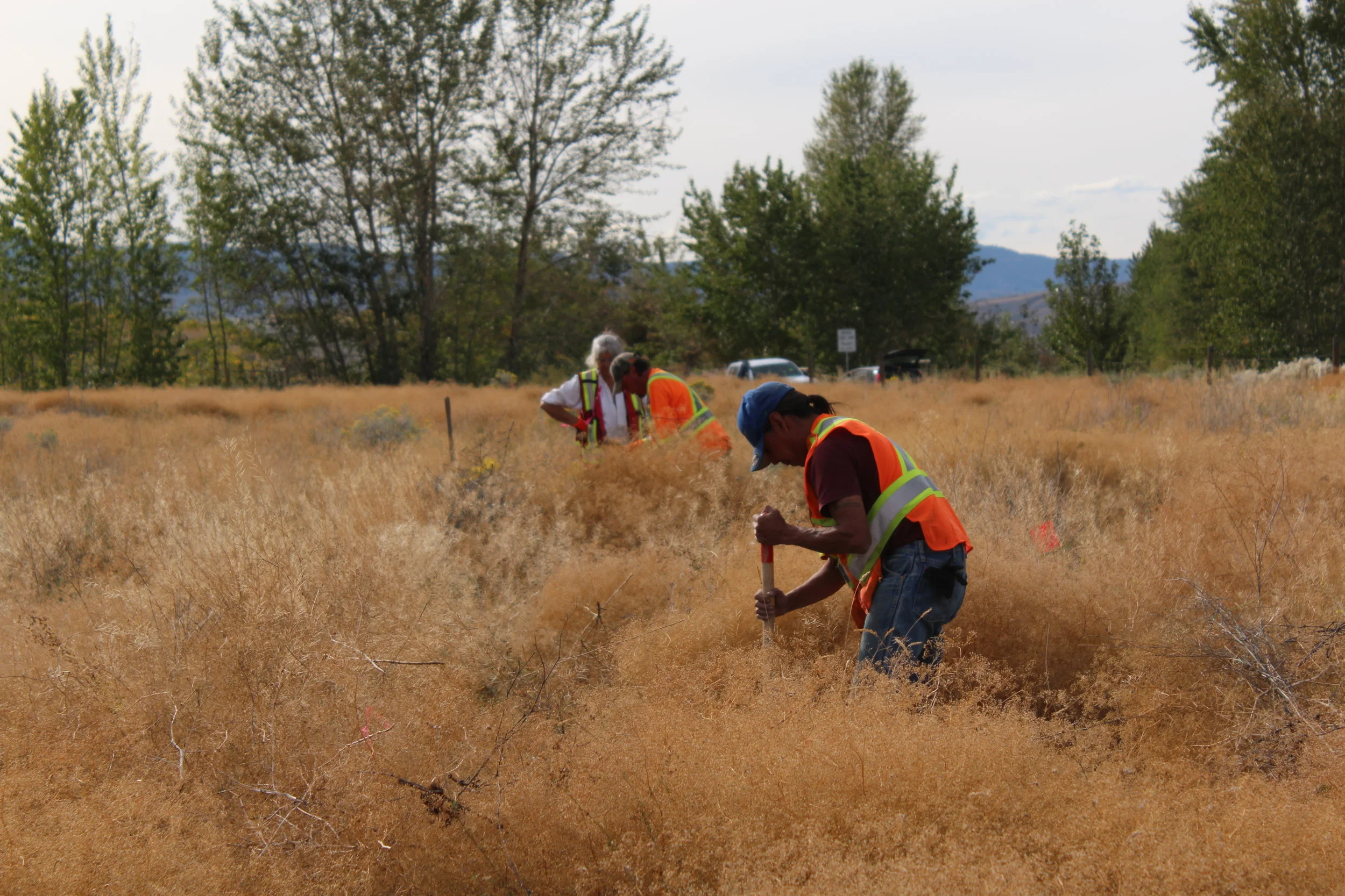 Recording history one shovel test at a time — Republic of Archaeology