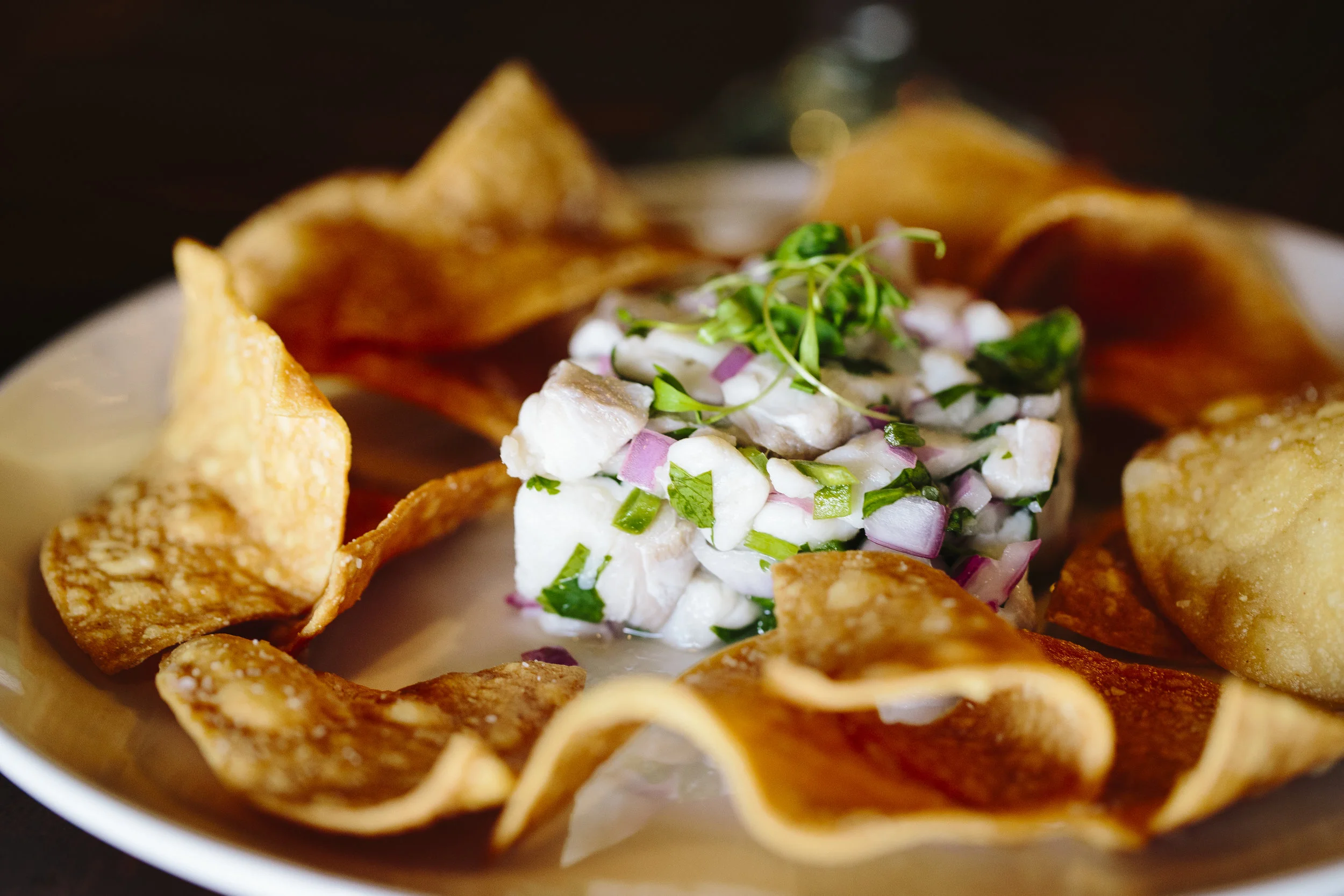 Ceviche's
