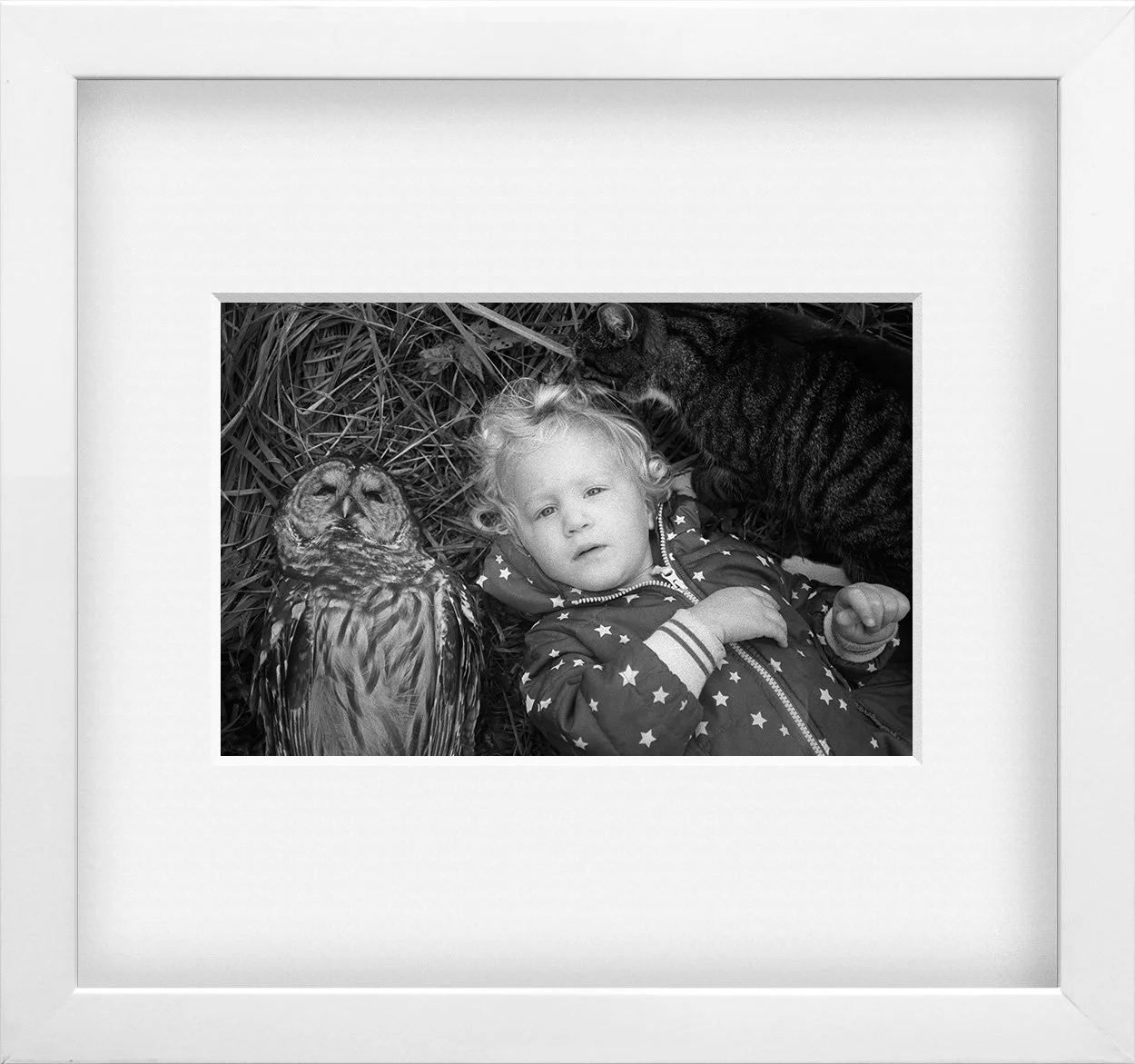 The Seraphim Special Edition — Charcoal Press