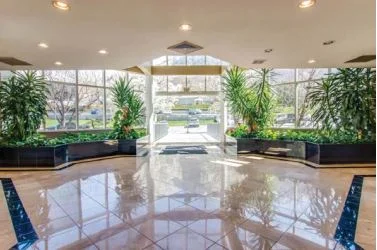 Asset Management Services