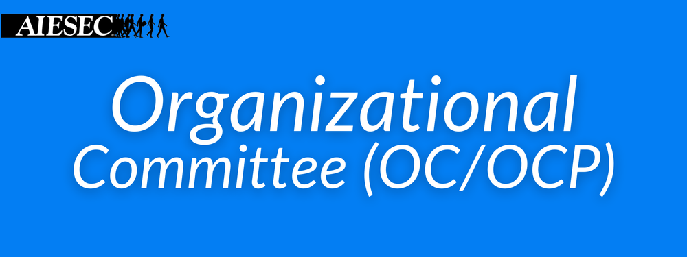 Plano de Carreira — BAZI Hub