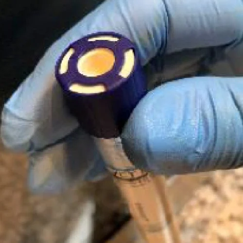 PRP For Dogs, Pets & Horses | Veterinary PRP | — Cell Therapy Sciences