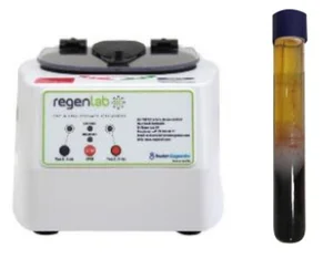 PRP For Dogs, Pets & Horses | Veterinary PRP | — Cell Therapy Sciences