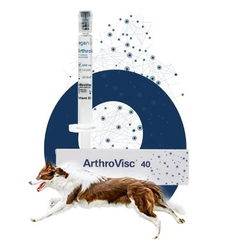 Veterinary Regenerative Medicine Services | Cell Therapy Sciences
