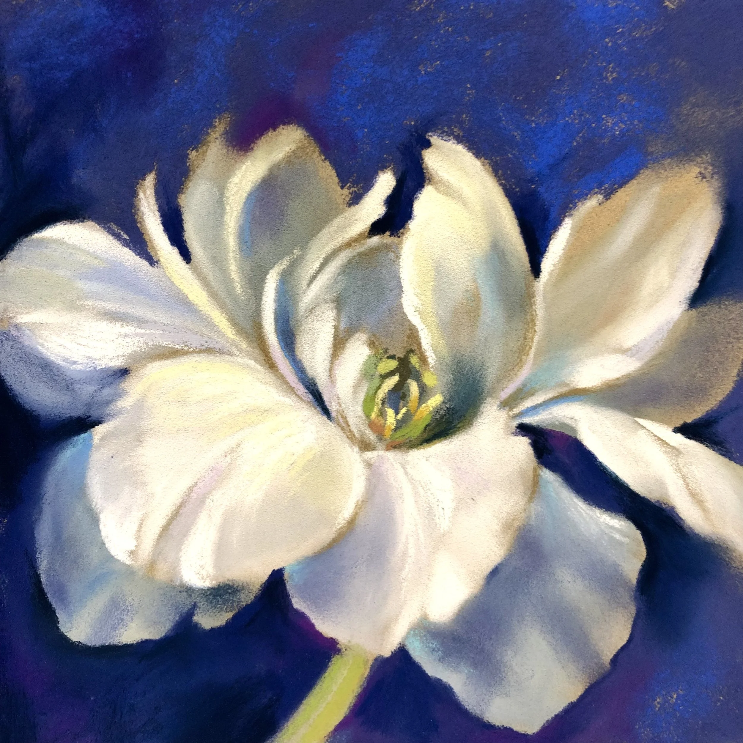 Nel Whatmore-Original Florals