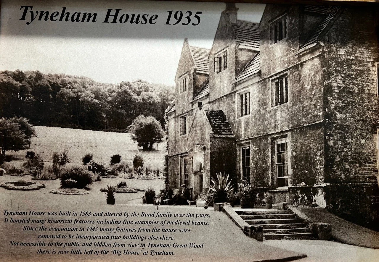 Waking Up on the Roof