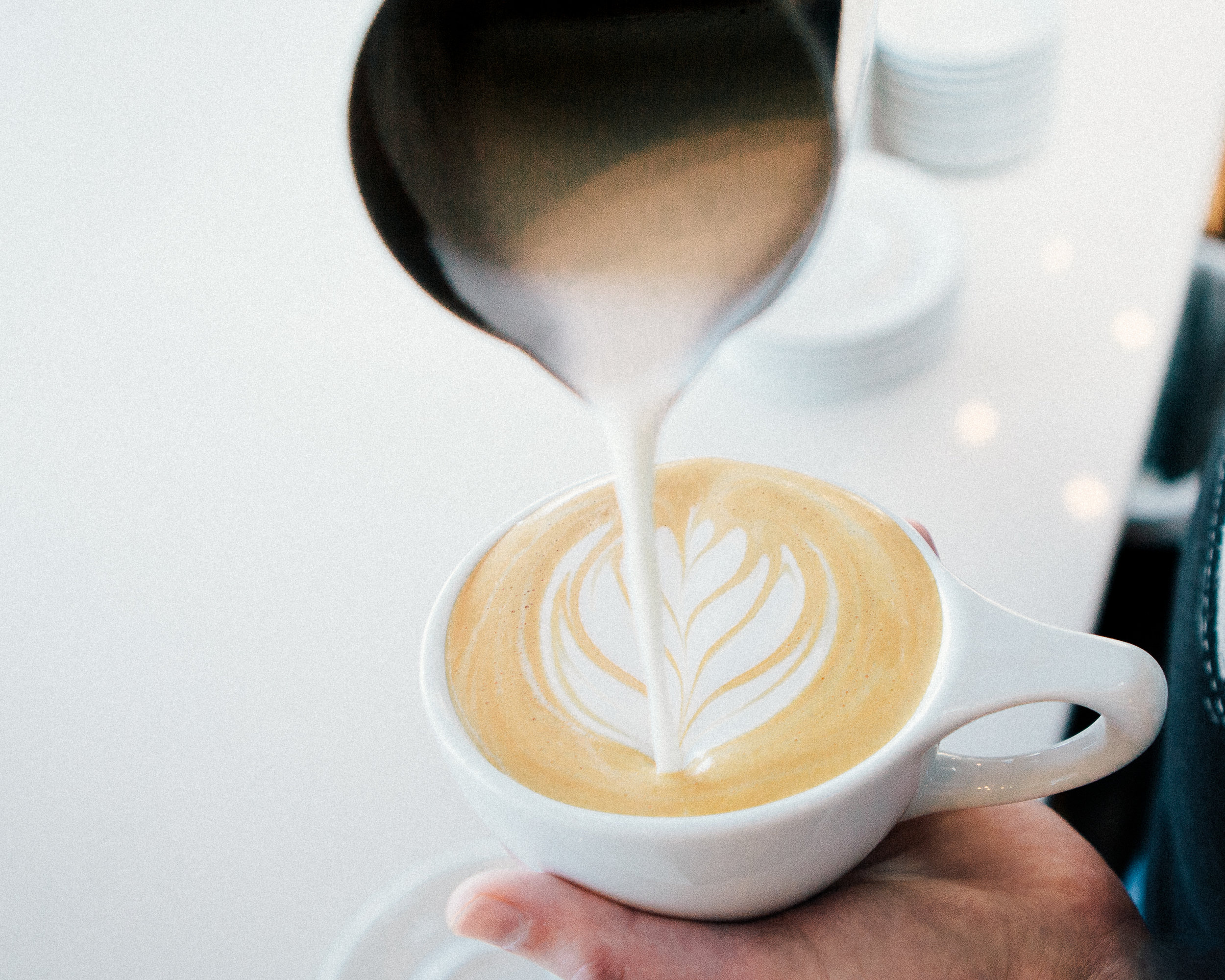 One Of The Best Coffee Shops Knoxville TN Offers | Honeybee Coffee