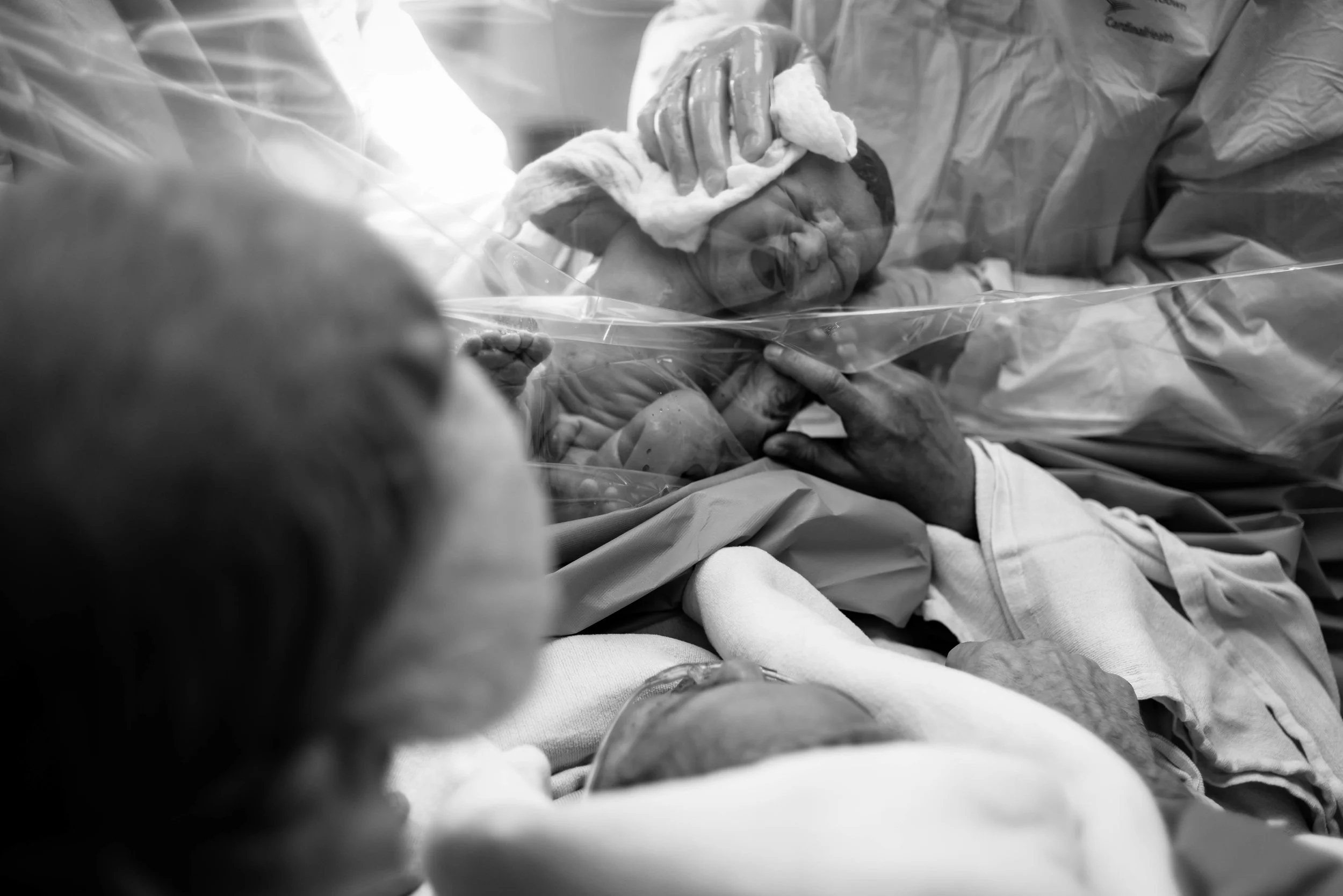 In Review: November 2016 through March 2017 — Birth Photography in ...