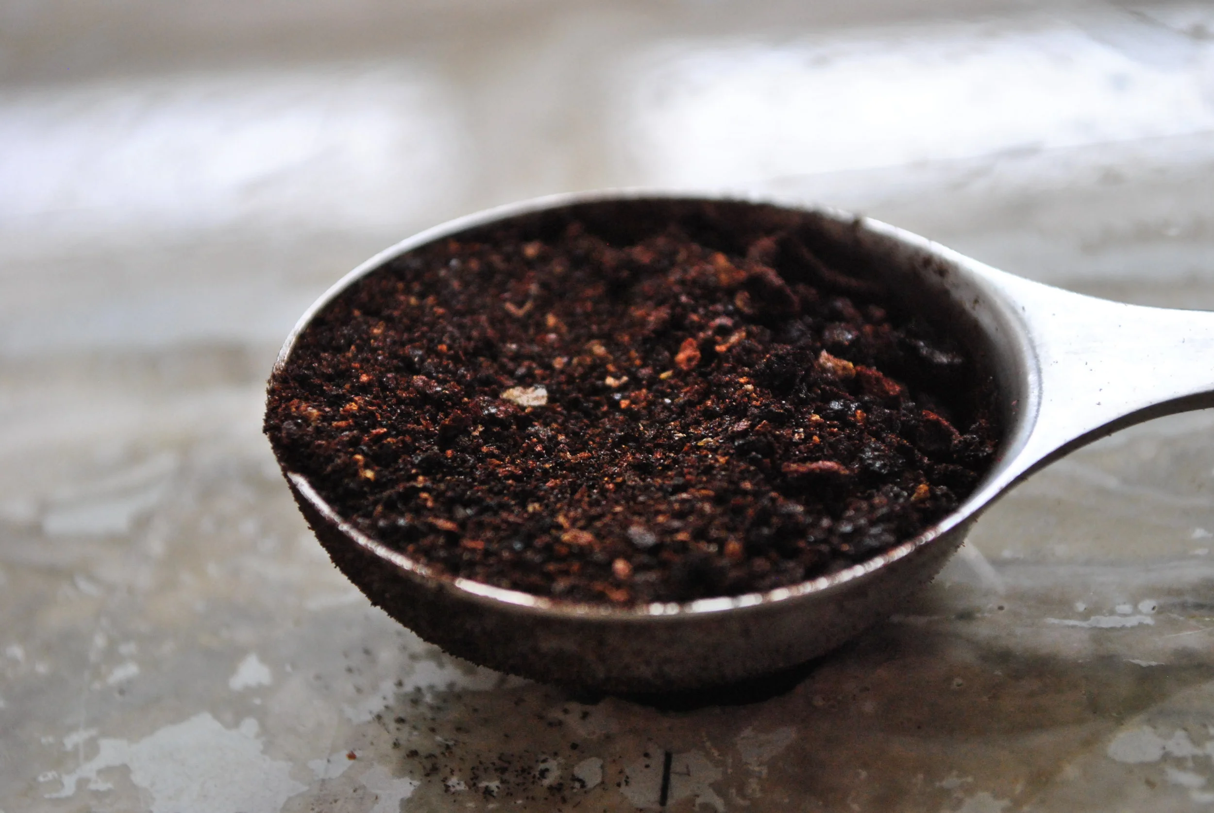 Burnt Onion Dust — Pinch of Black Salt