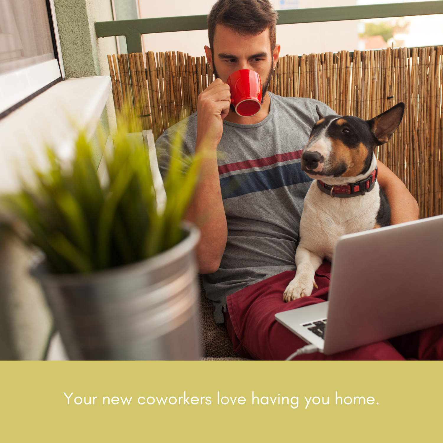 Reimagine Working From Home — BPI - Home Remodeling Massachusetts