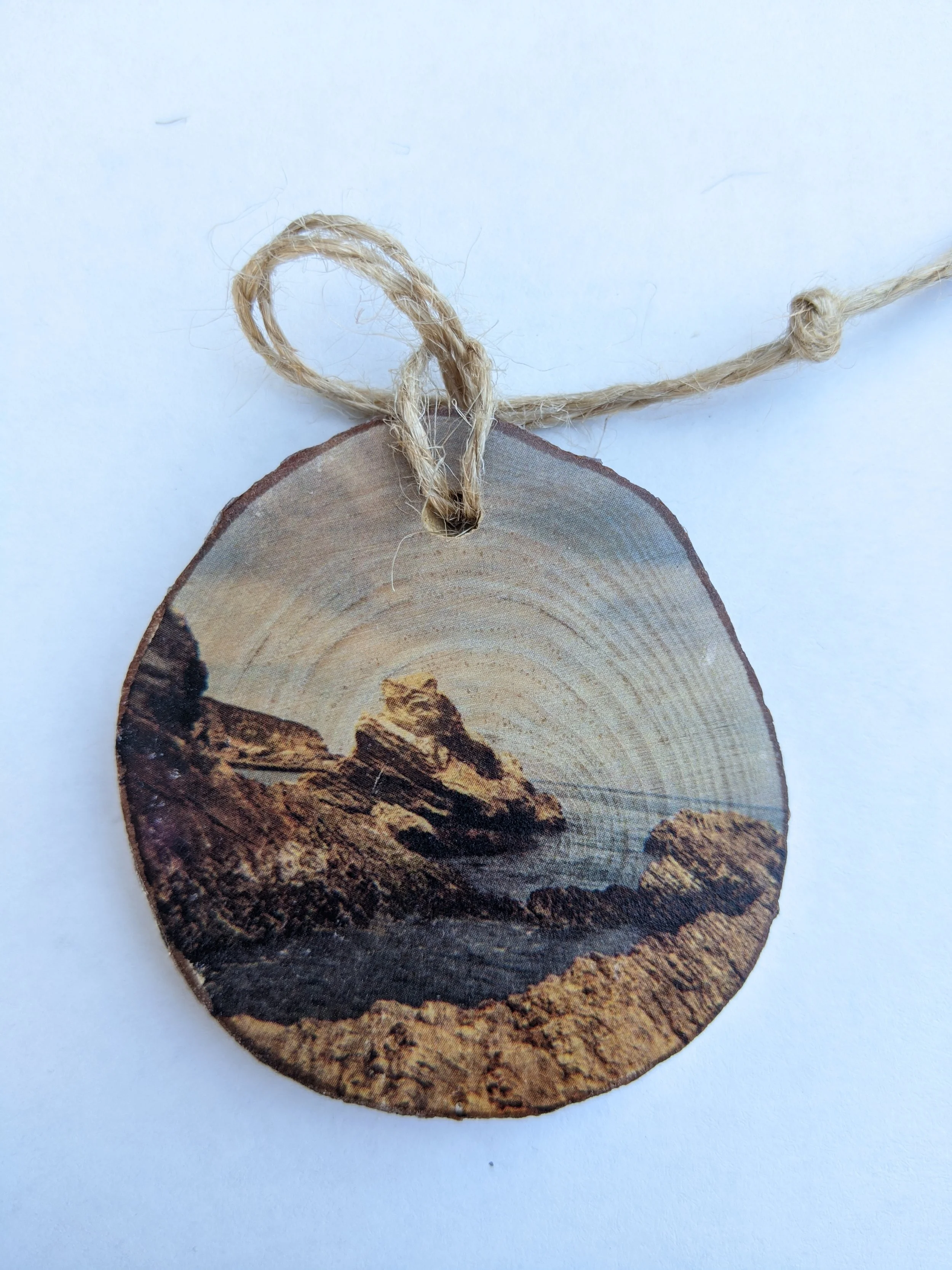 Photography on Wood with HolgaContessa