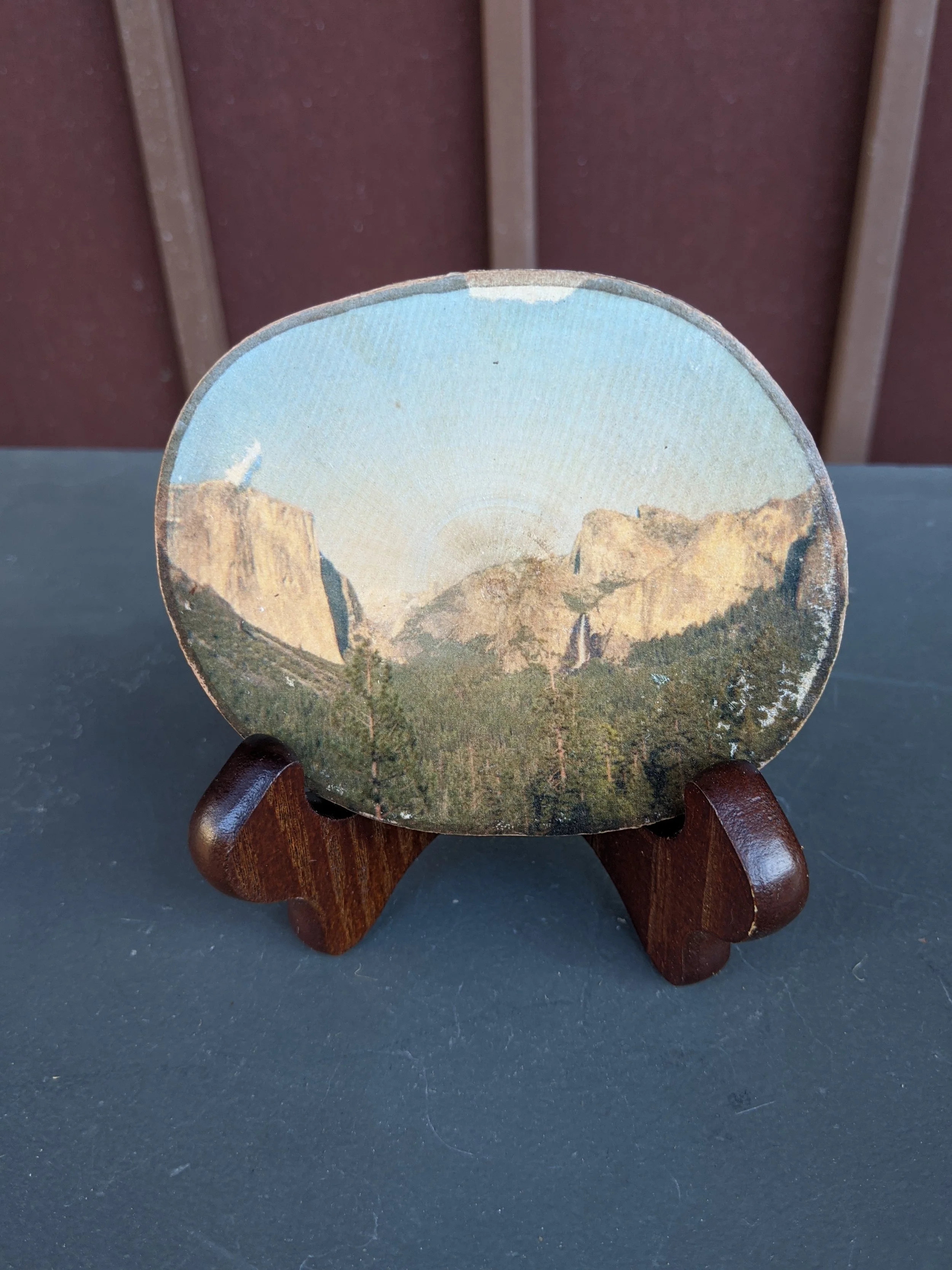 Photography on Wood with HolgaContessa