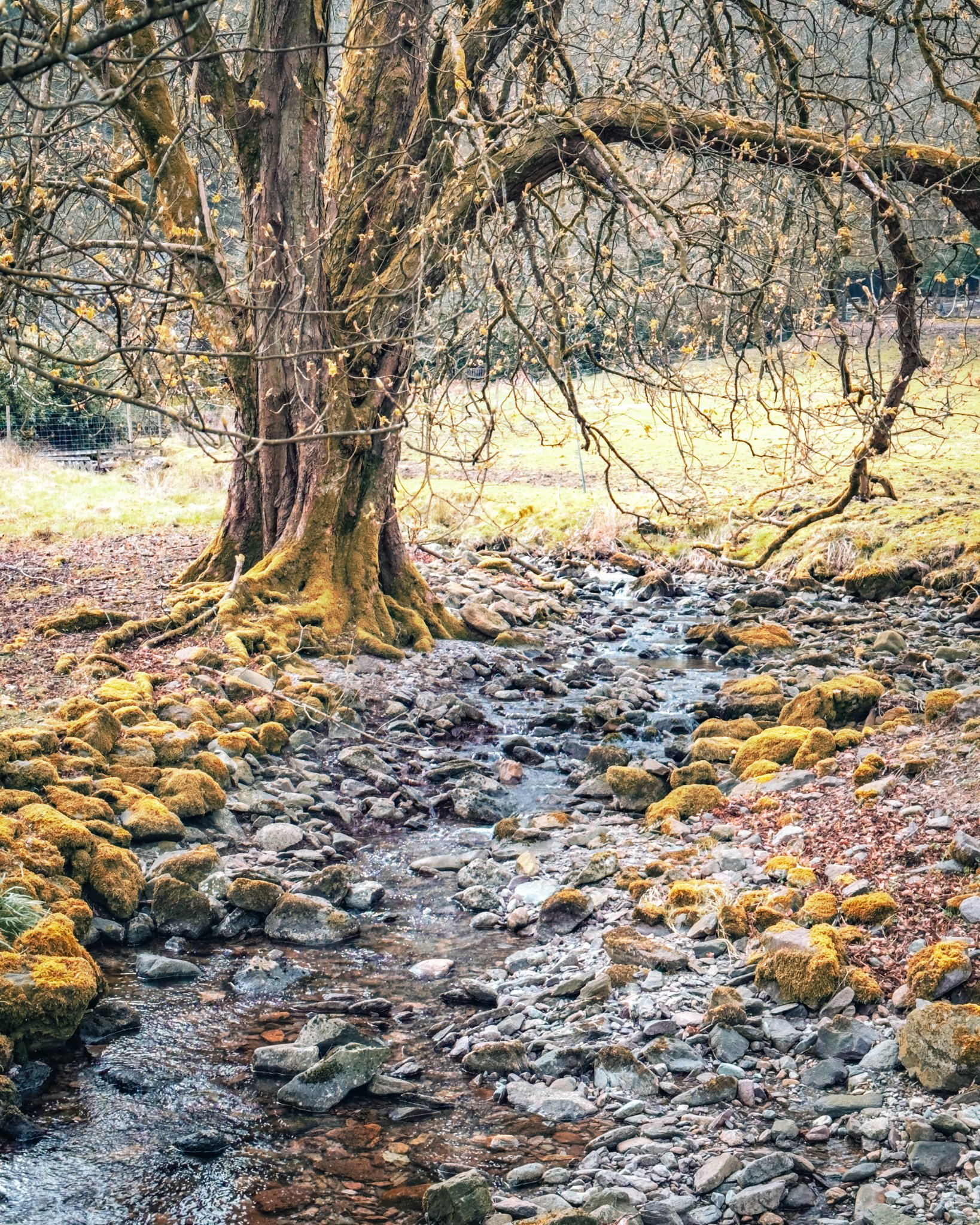 The Lake District — Keith Symons