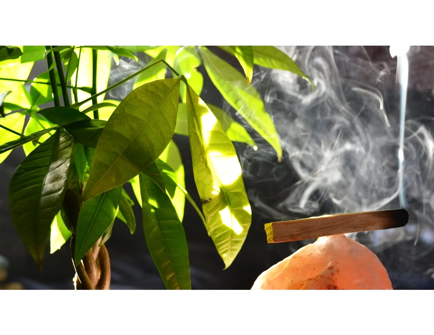 Learn How To Smudge, Cleanse & Charge — EARTH AND SOUL COLLECTIONS