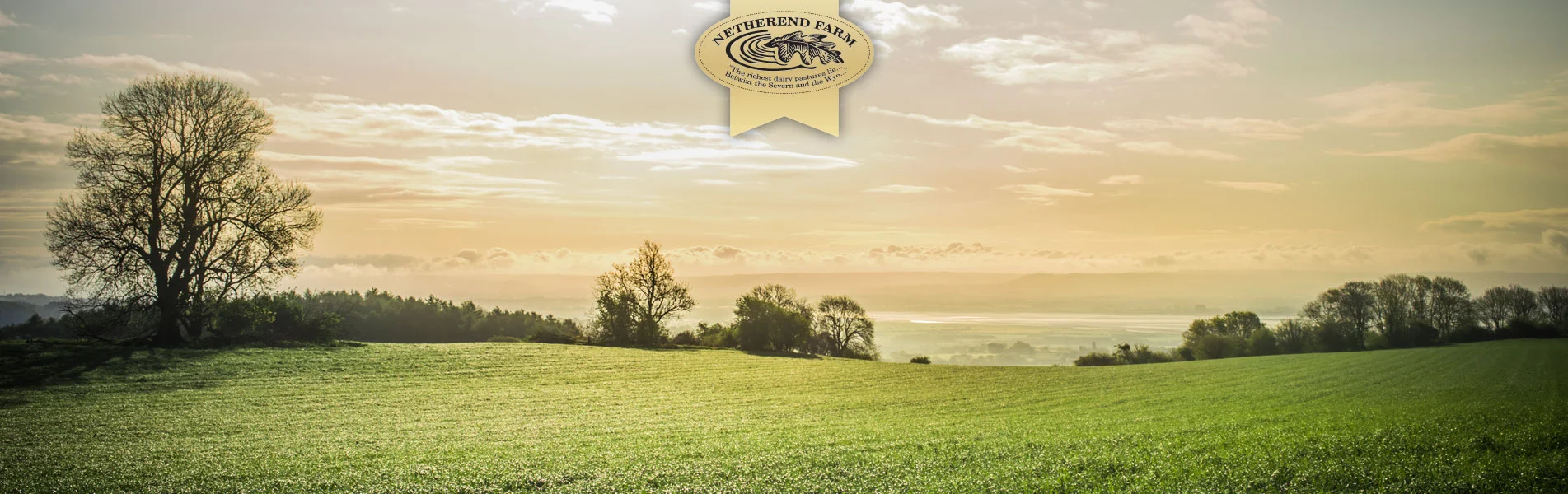 Home — Netherend Farm