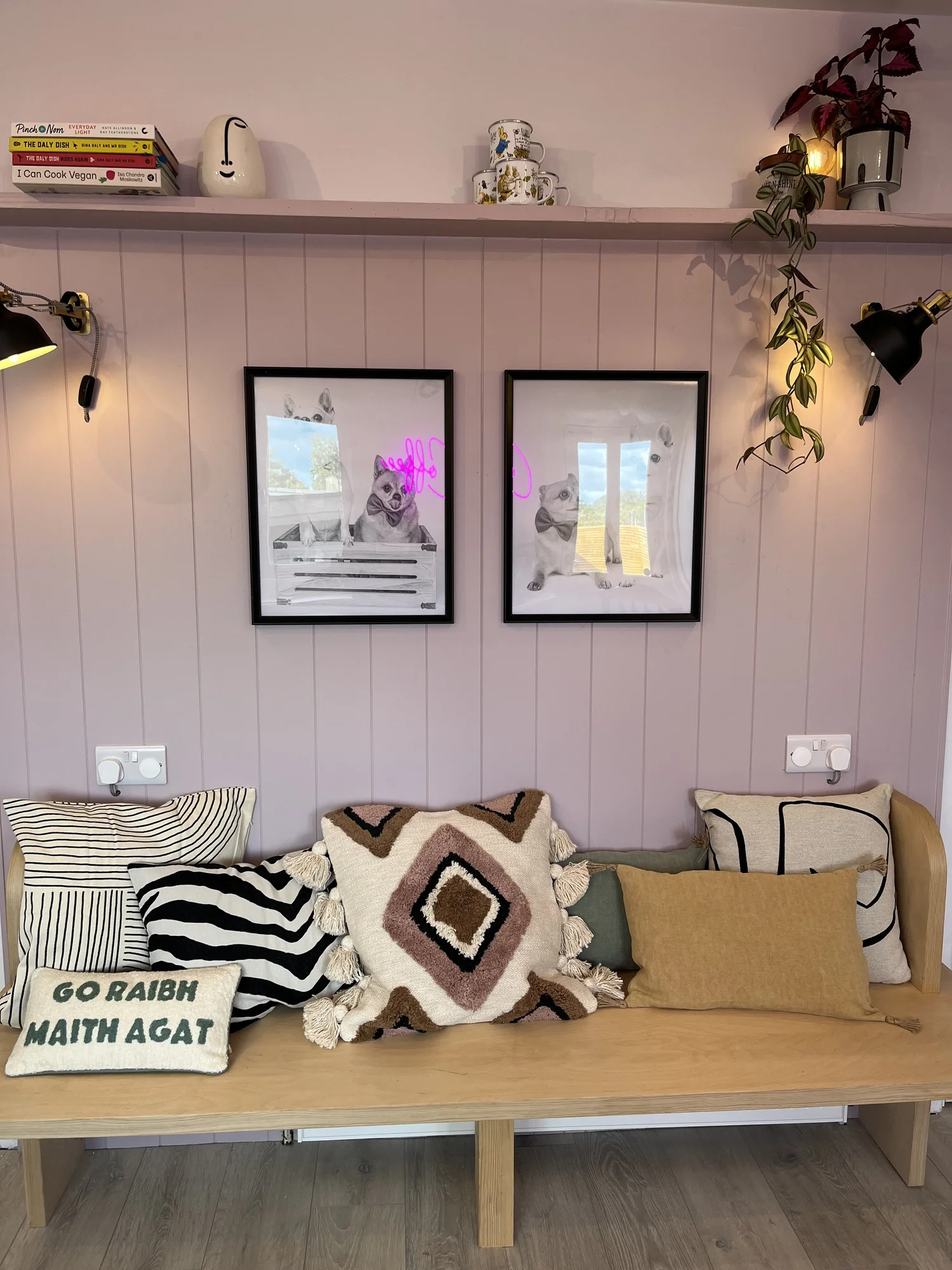 Episode 1, Ballybrack | Home Rescue — COCO Content
