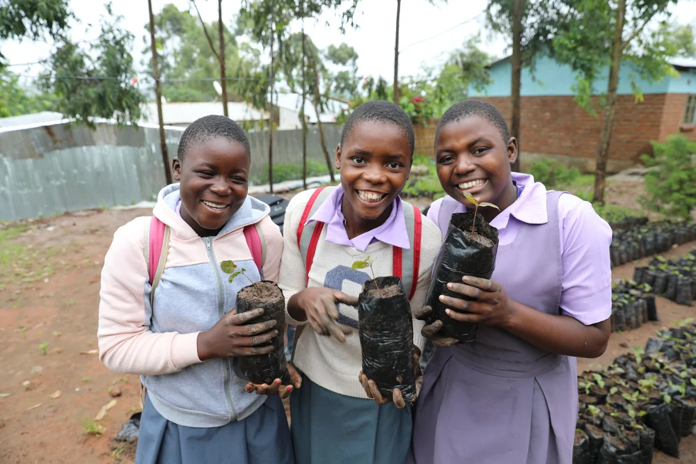 Programs — Jacaranda Foundation