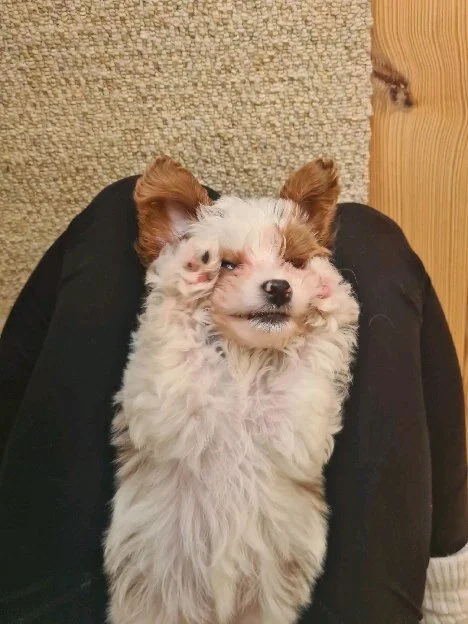 Alice Stewart Jewellery | Nature inspired jewellery handmade in ...