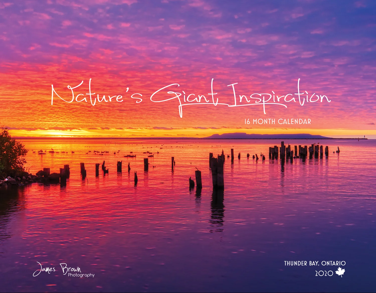Nature's Giant Inspiration 2020: 16 Month Wall Calendar - Thunder Bay ...