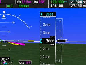 G1000 Training — Mike Petrucci