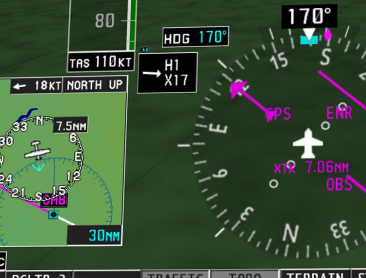 G1000 Training — Mike Petrucci