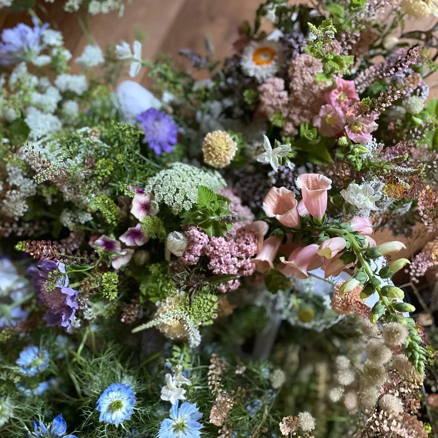 The London Flower Farmer