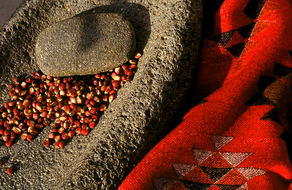 Native American Cuisine in Santa Fe, NM | Red Mesa Cuisine, LLC