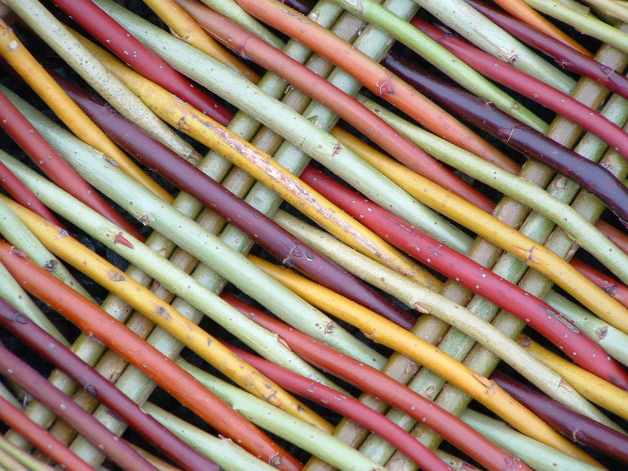 Gallery — Cornish Willow