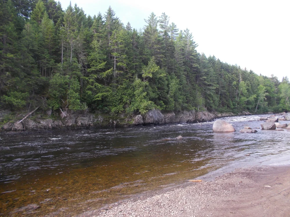 Areas Guided — Jeff Ireland, Maine Fly Fishing Guide