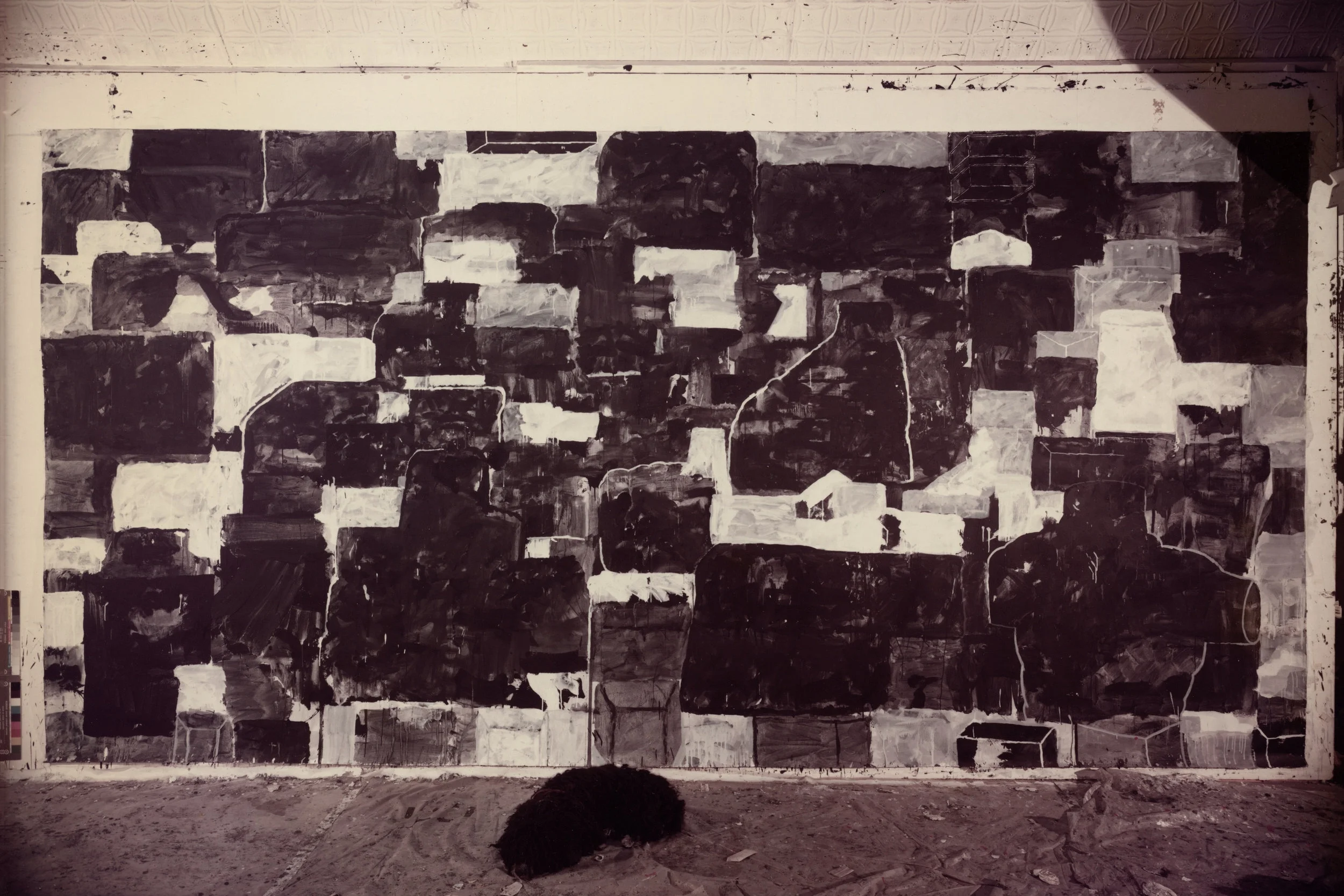 paintings — STEVEN SLOMAN