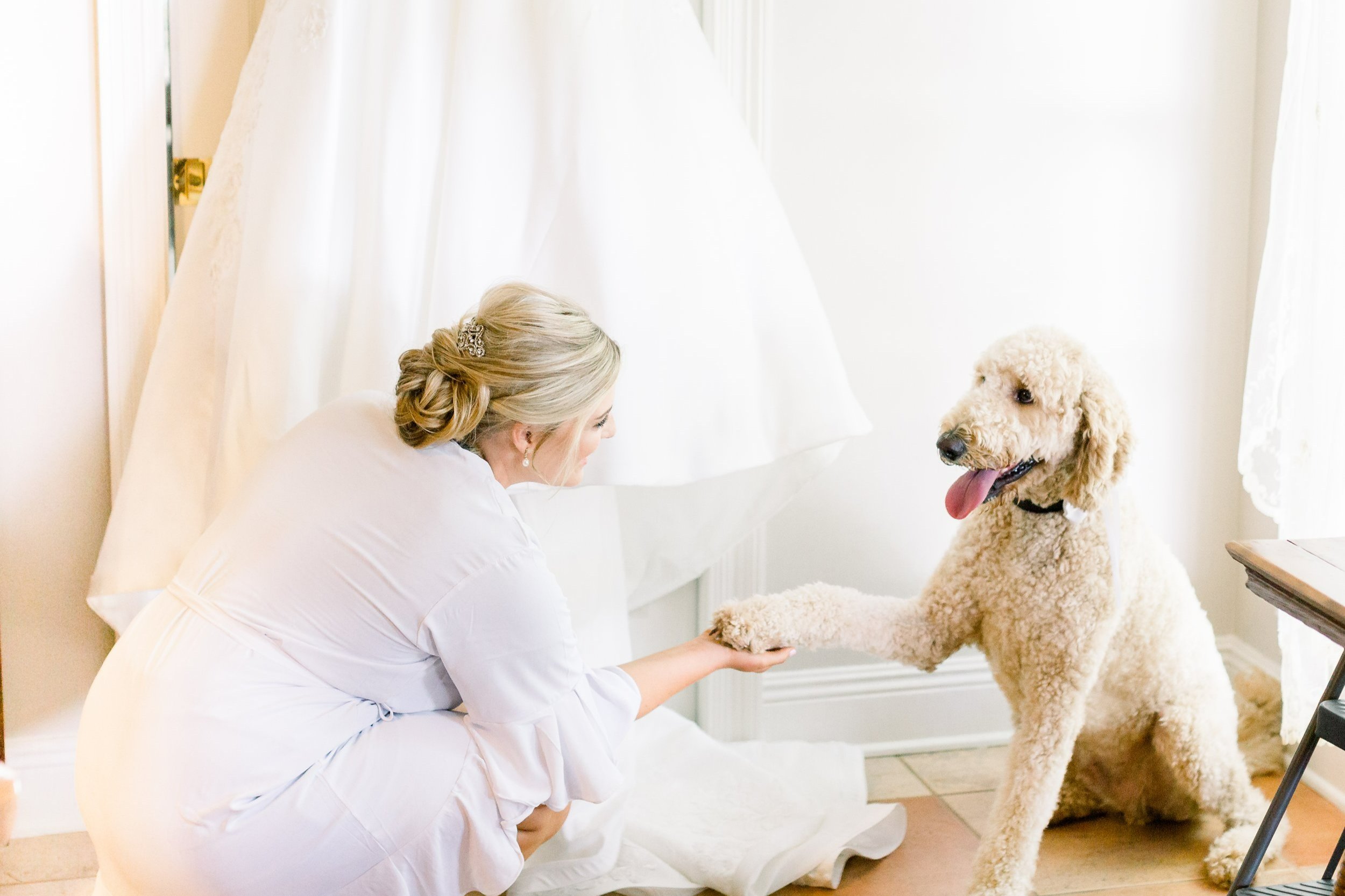 Ellen Thomas Event Design