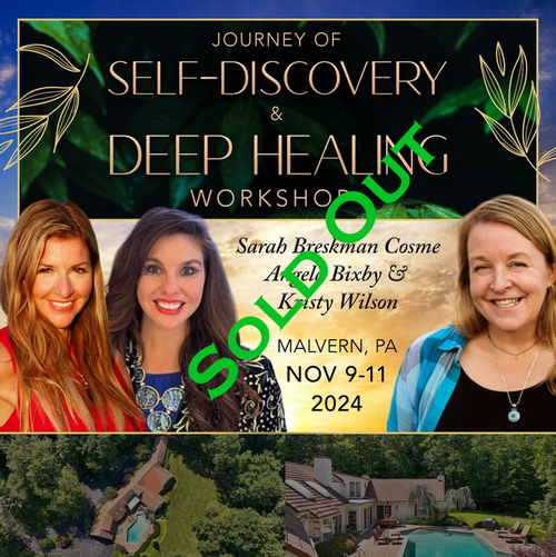Workshops — The Holistic Hypnotist SARAH BRESKMAN COSME