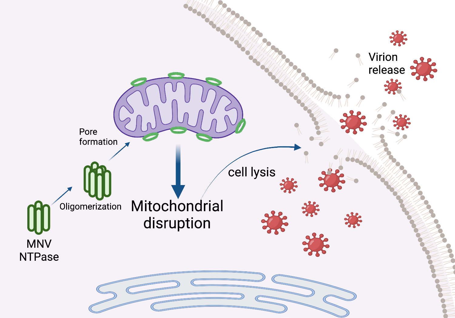 Research — The Reese Lab