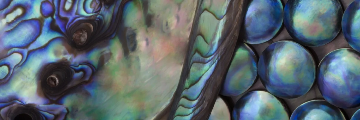 Eyris Pearls - Blue Pearls, Uniquely New Zealand