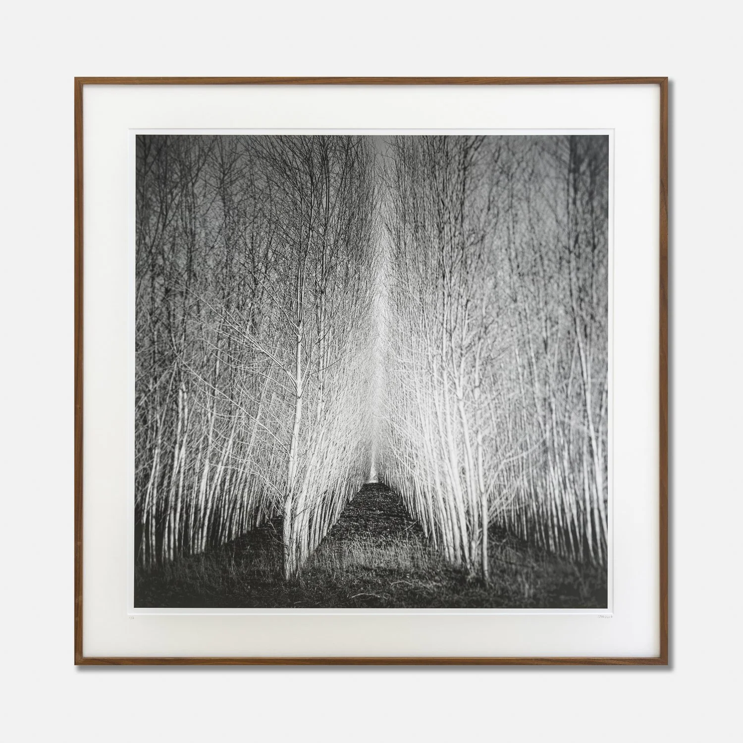 Gerald Berghammer - Wiener Karlskirche, Vienna, Austria