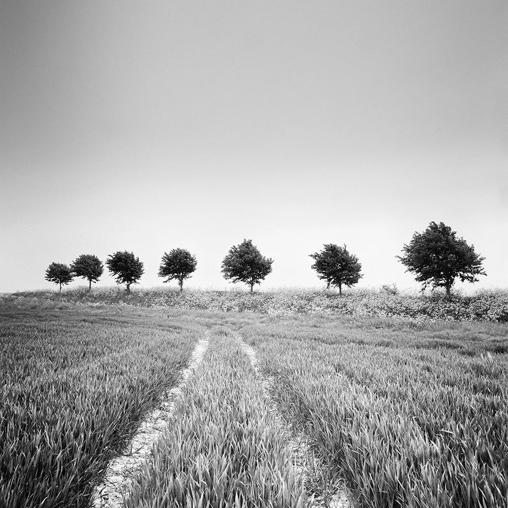 Gerald Berghammer | Black and White Fine Art Photography – artwork Field