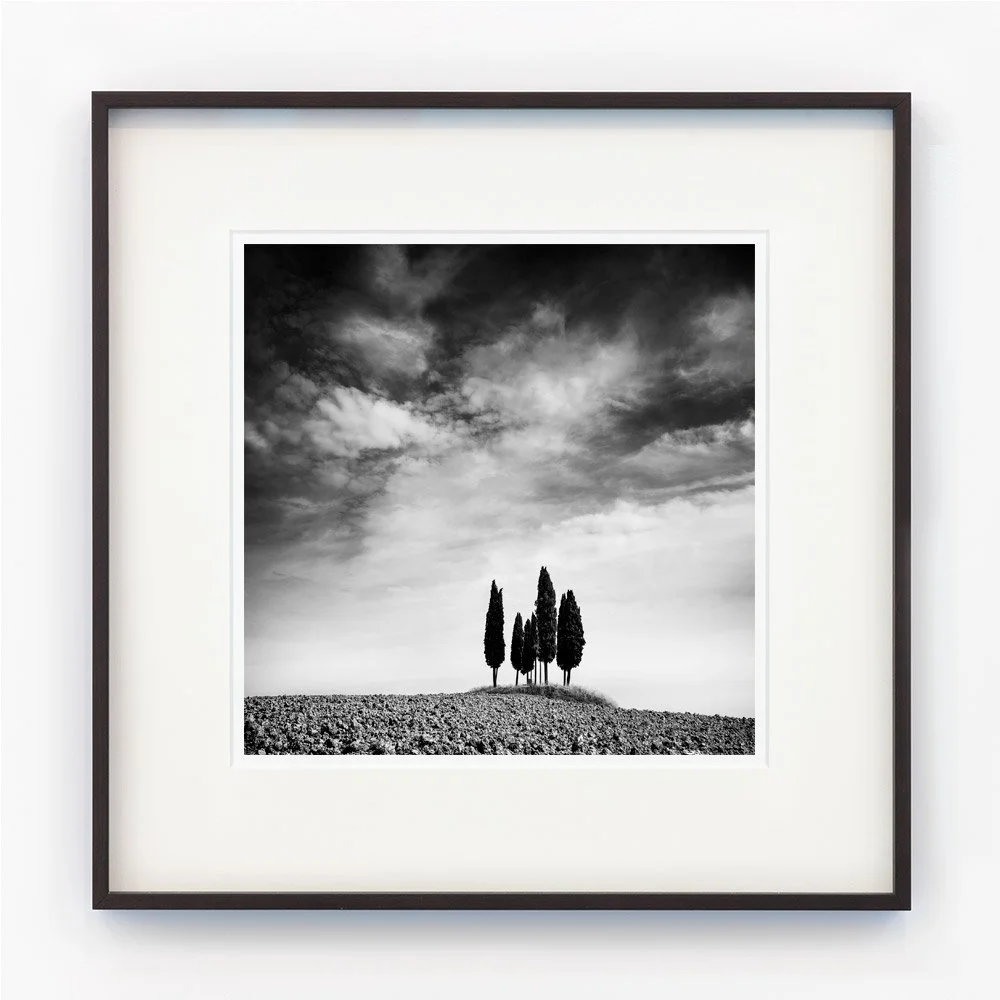 Framed Black And White Landscape Photography