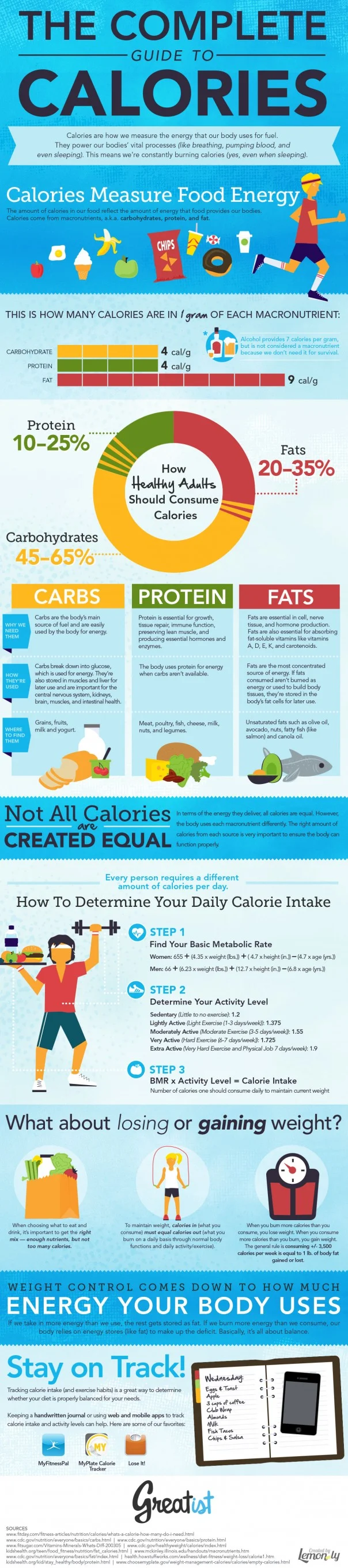 Understanding Calories - Your Complete Guide - Infographic