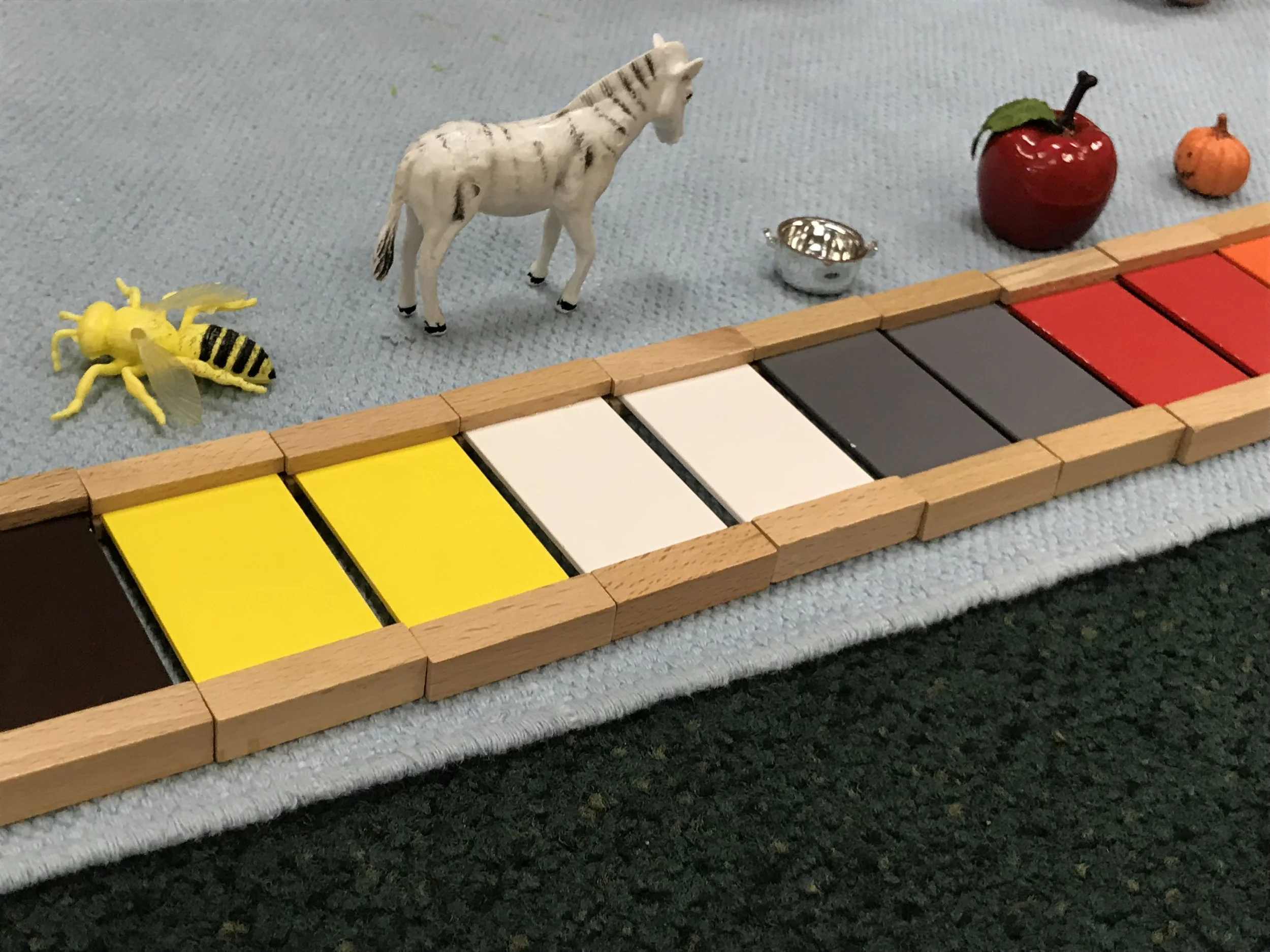 Daily Schedules — Midlands Montessori School